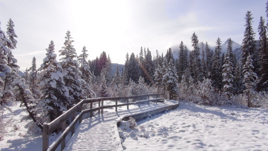 Alberta: Quand partir? (Météo, climat: Tableau et diagramme)